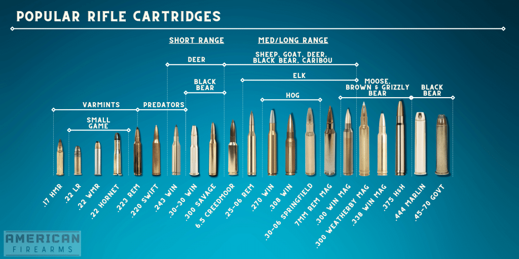 Rifle Ammunition Sizes